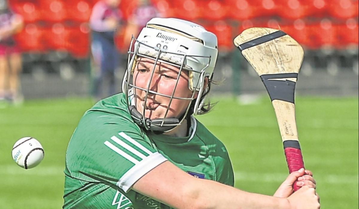 Lillis makes four changes to Limerick camogie team for Down trip ...