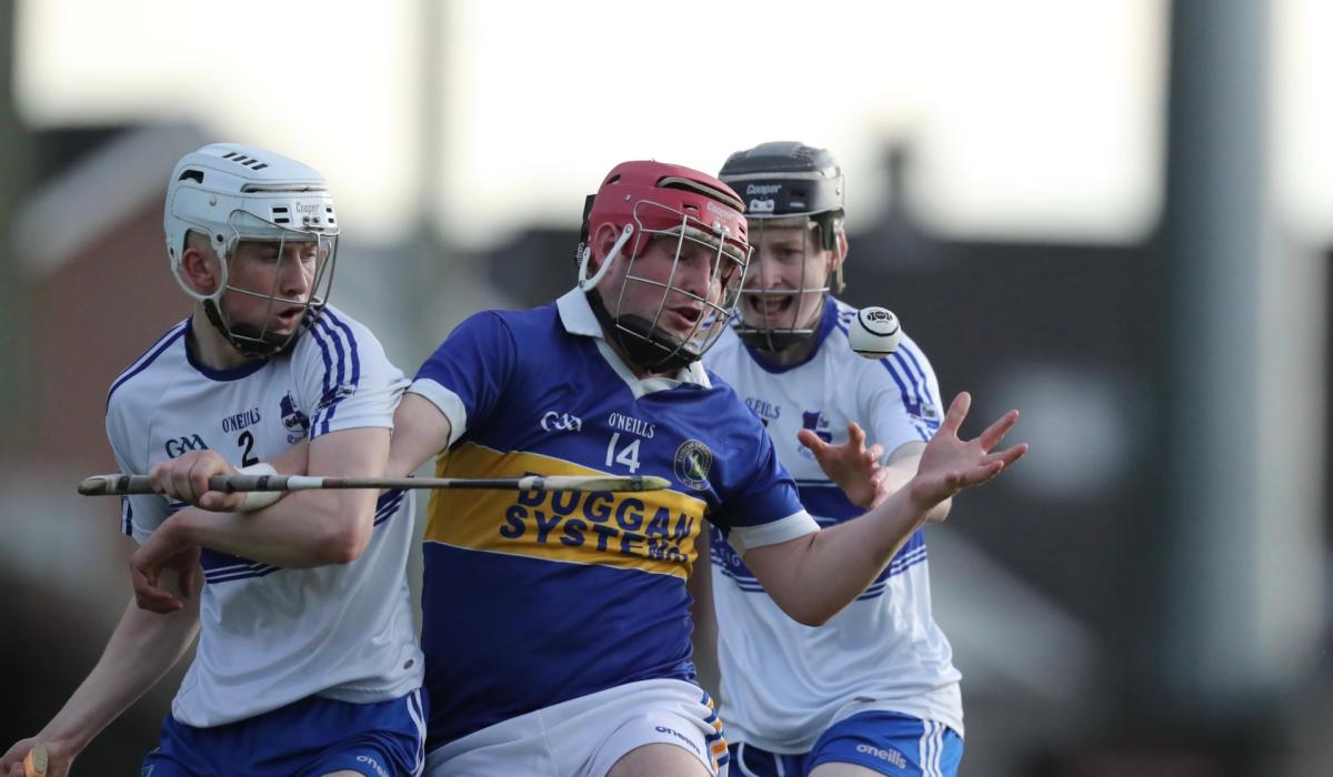 Croagh-Kilfinny end 118 year wait for county honour - Photo 1 of 4 ...