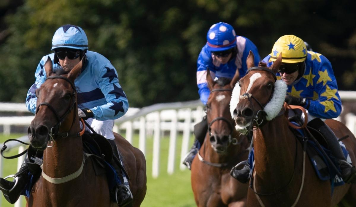 It's winners alright for Limerick racing connections - Limerick Live