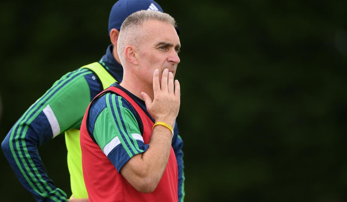 Limerick camogie confirm departure of inter-county team manager Pat ...