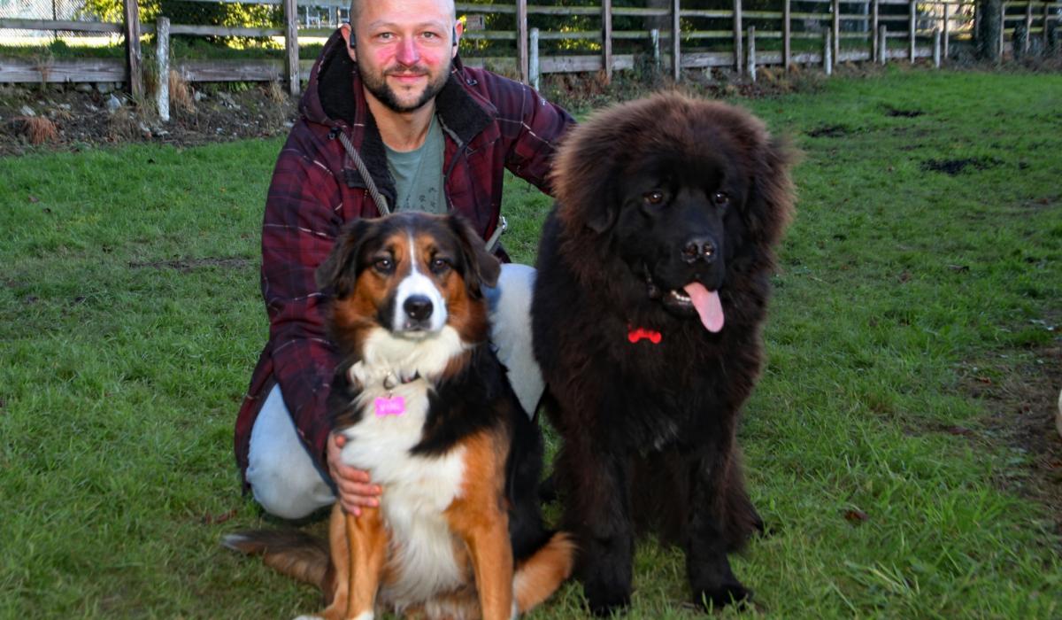 Pawsome! Limerick's first dog park opens its doors - Limerick Live