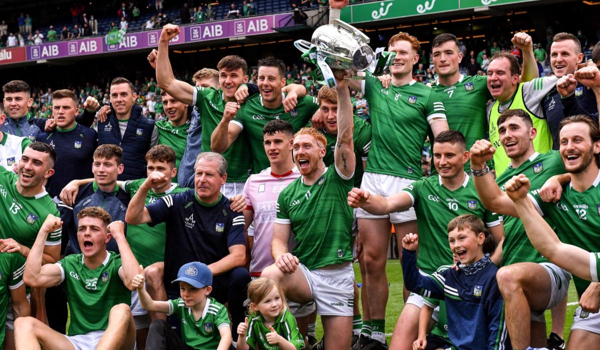 Champions Limerick dominate All-Star hurling nominations and Hurler of ...