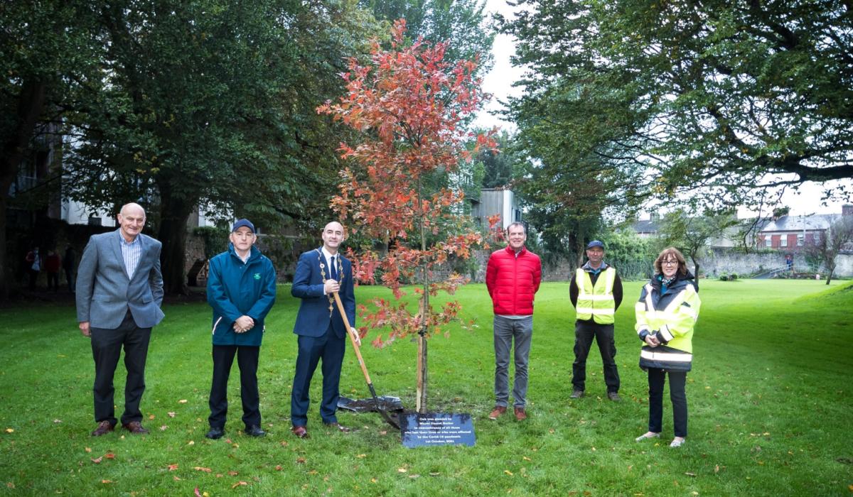 Special tree planted in Limerick to remember those lost to Covid-19 ...