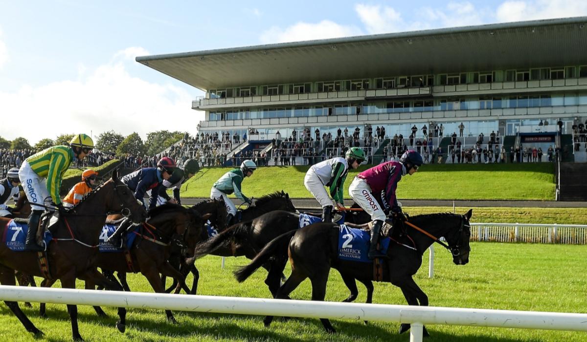 WATCH: New Limerick Racecourse General Manager to join from the UK's ...