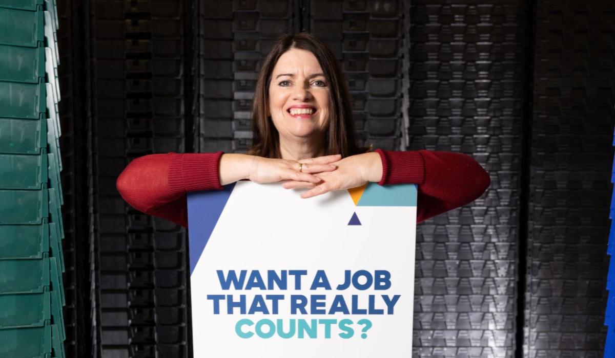 Central Statistics Office to hire more than 200 Census Enumerators in ...