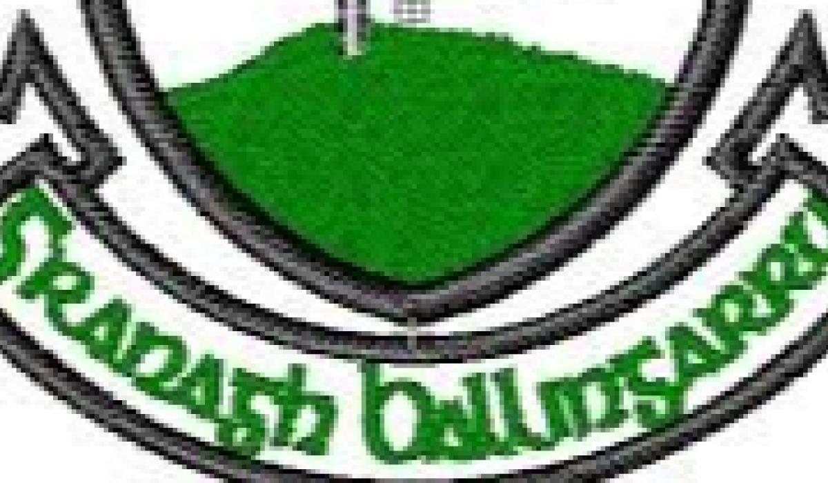 Granagh-Ballingarry see off Knockaderry to claim Limerick Junior B ...