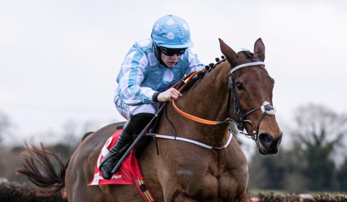 Ballingarry's Billy Lee visits Dundalk winners' enclosure - Limerick Live
