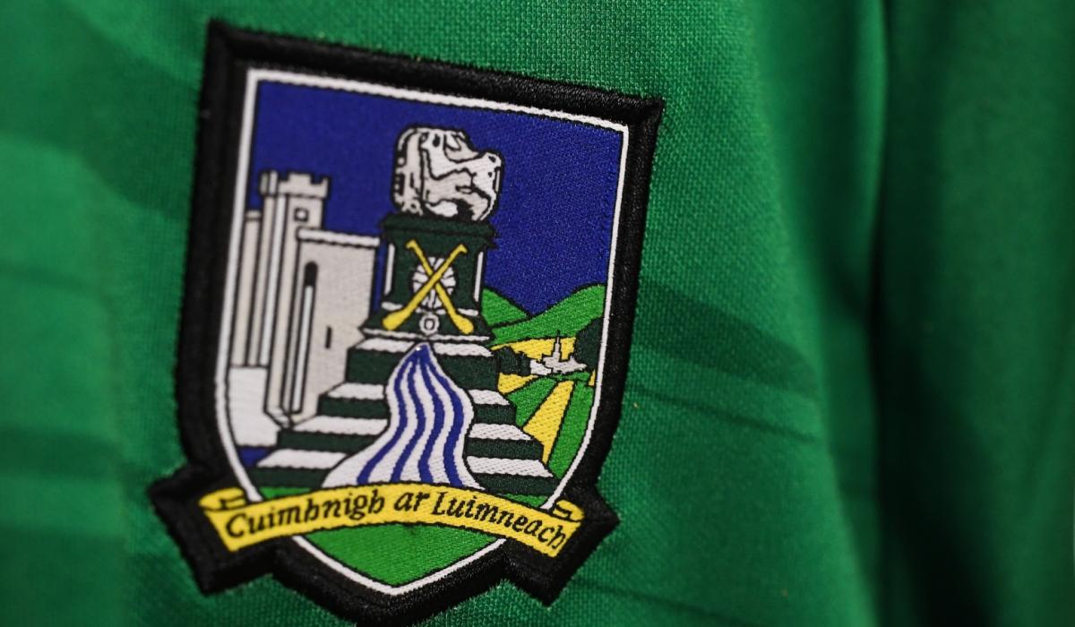 Who won what? Limerick GAA completes club season of 988 matches across ...