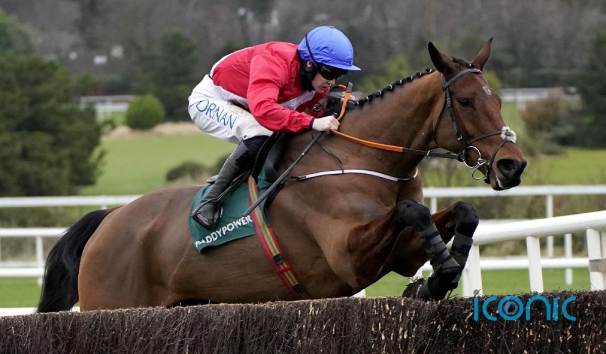 Envoi Allen workmanlike as he wins again at Leopardstown - Limerick Live