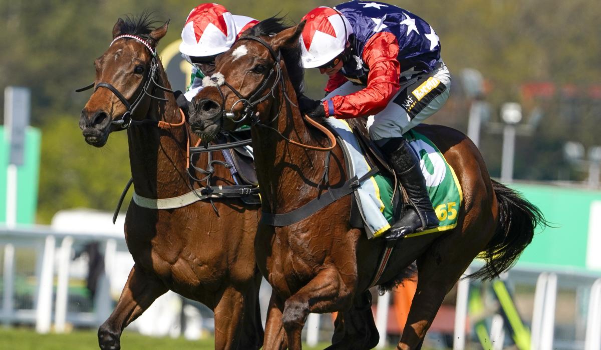 Williams full of hope for three-strong challenge on Kempton feature ...