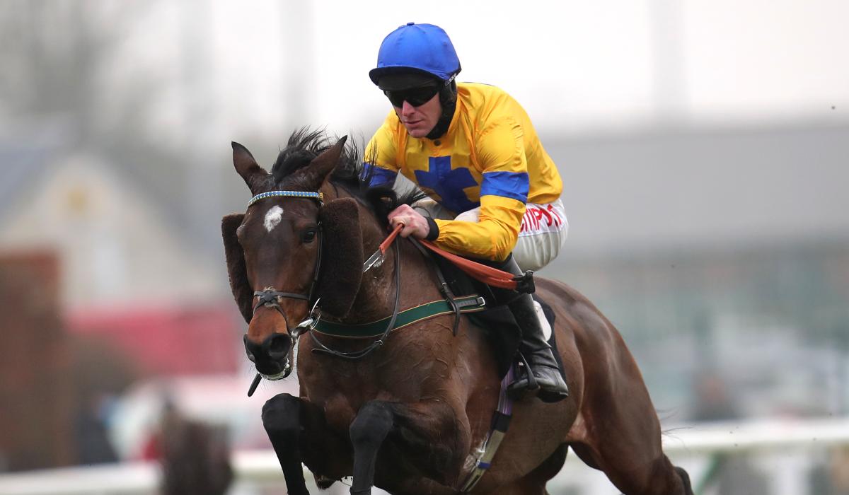 Archie Watson dreaming of Cheltenham Festival glory - Limerick Live