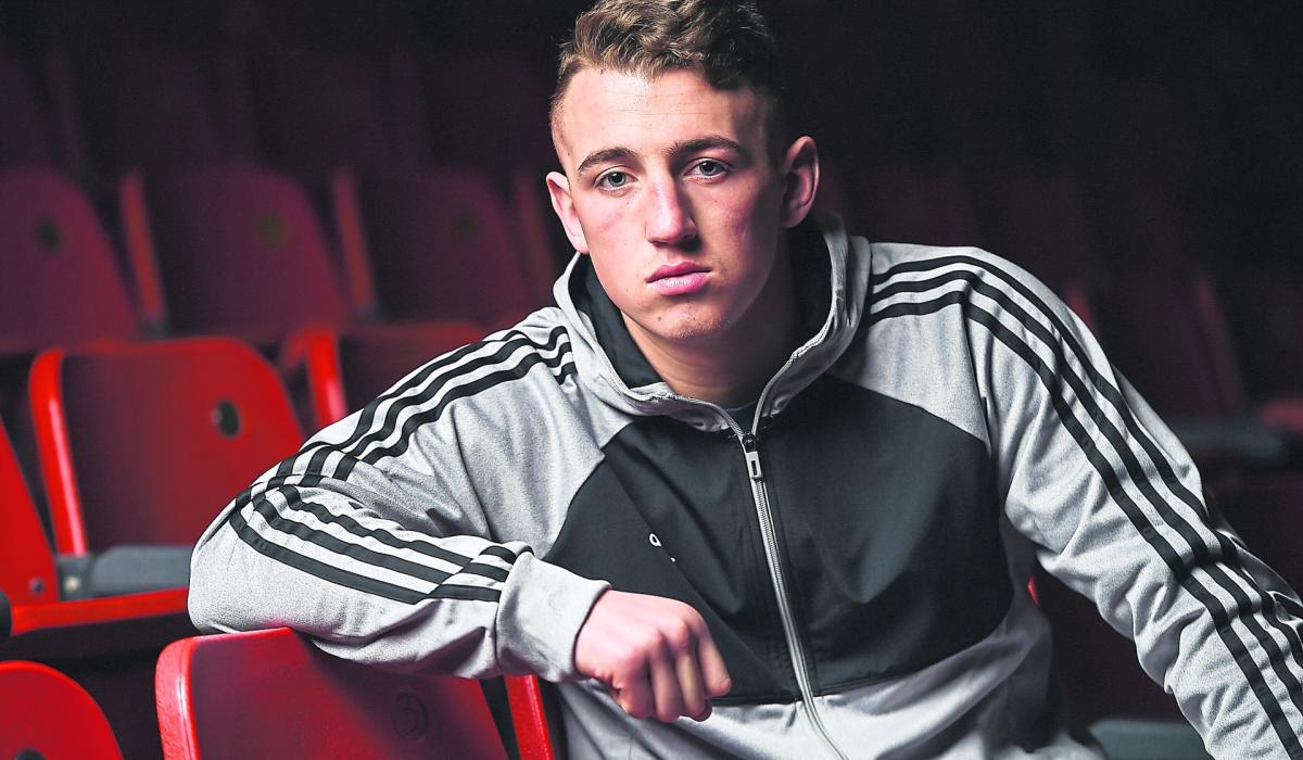 Limerick councillors lobby Justice Minister to change course on Logan ...