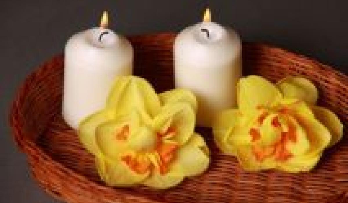 Deaths in Limerick: Thursday, June 20, 2024 - Limerick Live