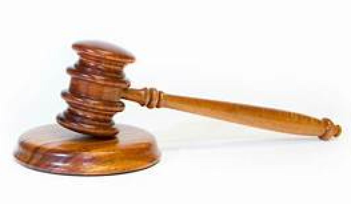 Man secures Protection Order against 'rabbit-throwing wife' - Limerick Live