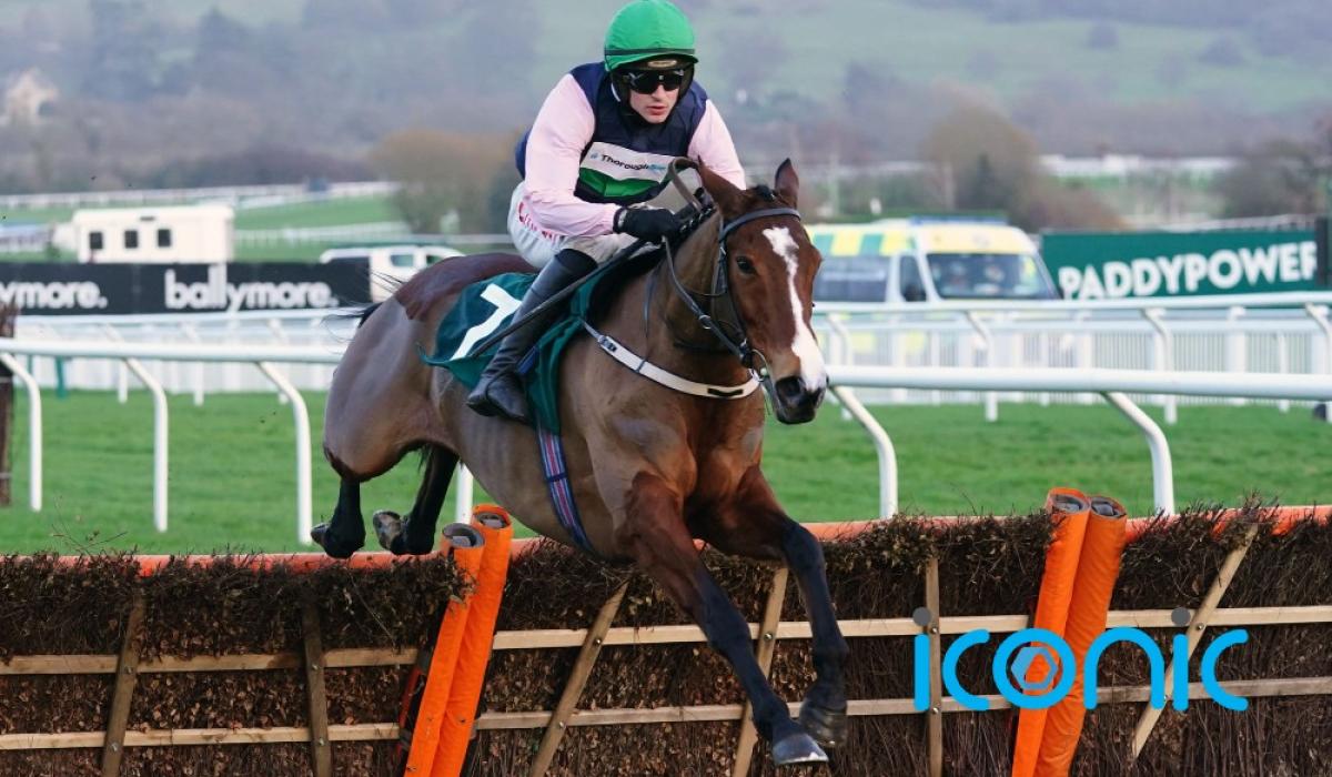 Willie Mullins-trained star Stormy Ireland looks set for second ...