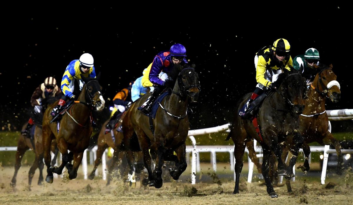 RACING: Tips and analysis for this evening's card at Dundalk - Limerick ...