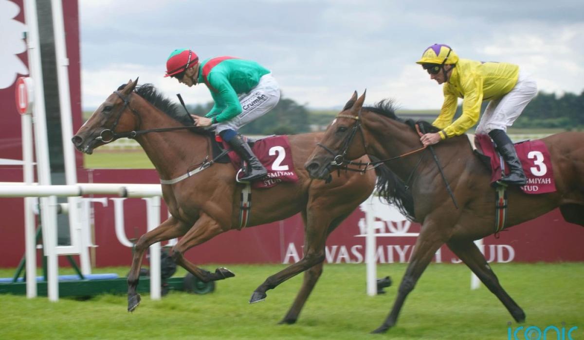 Le Petit Coco steps up to Group One victory at the Curragh - Limerick Live