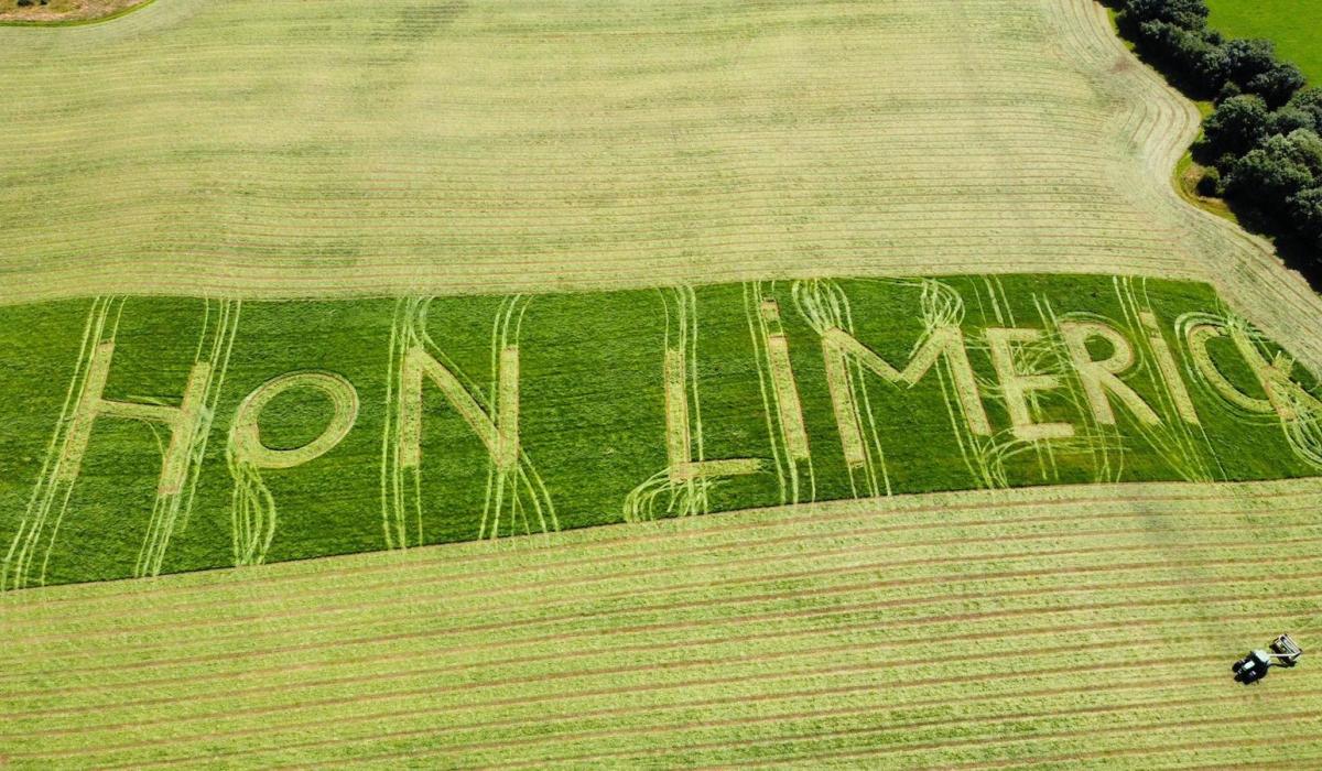 In clover: Limerick farmer’s massive good luck message to hurling team ...