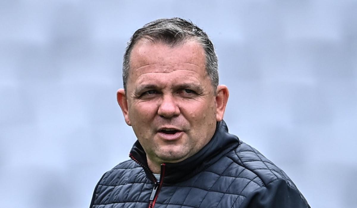 Davy Fitzgerald departs camogie coaching role - Limerick Live
