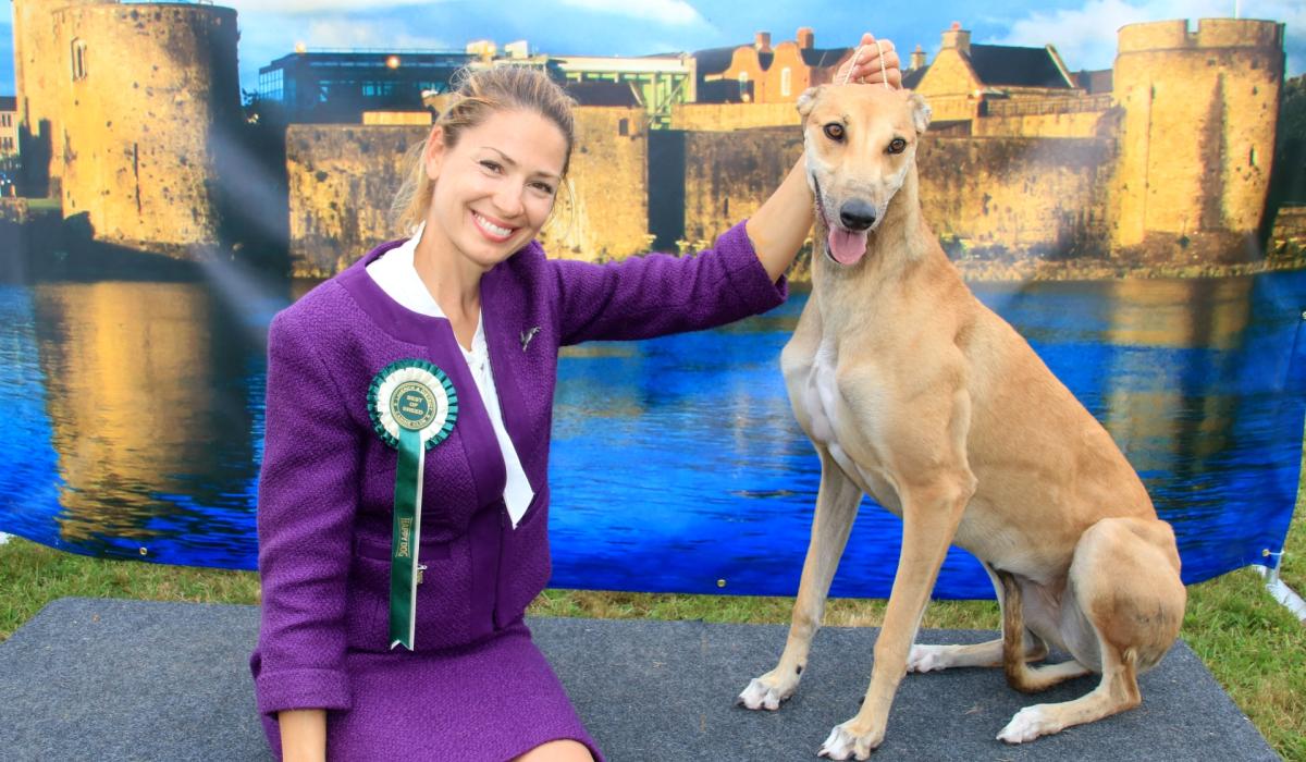 WATCH: Smiles all-around as Limerick Dog Show returns - Limerick Live