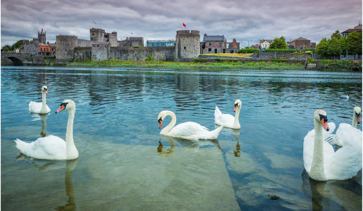 Discover Limerick - A new chapter for King John’s Castle! - Limerick Live
