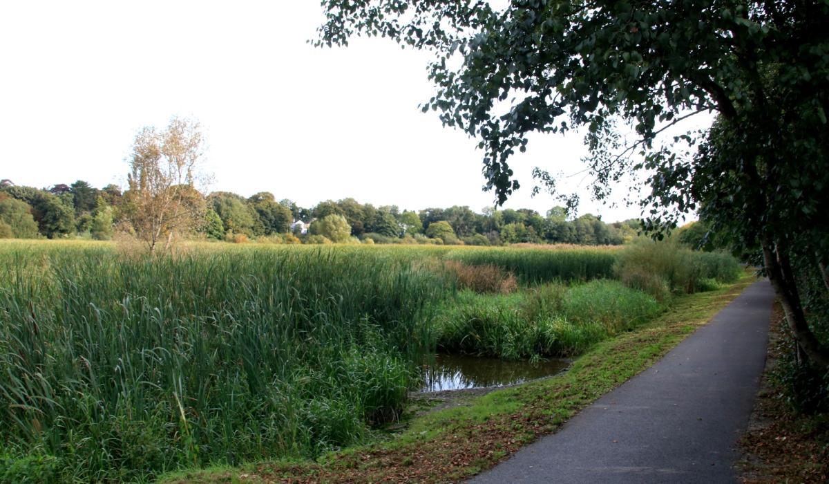 Council hopes to see up to €15,000 earmarked annually for clean-up of ...