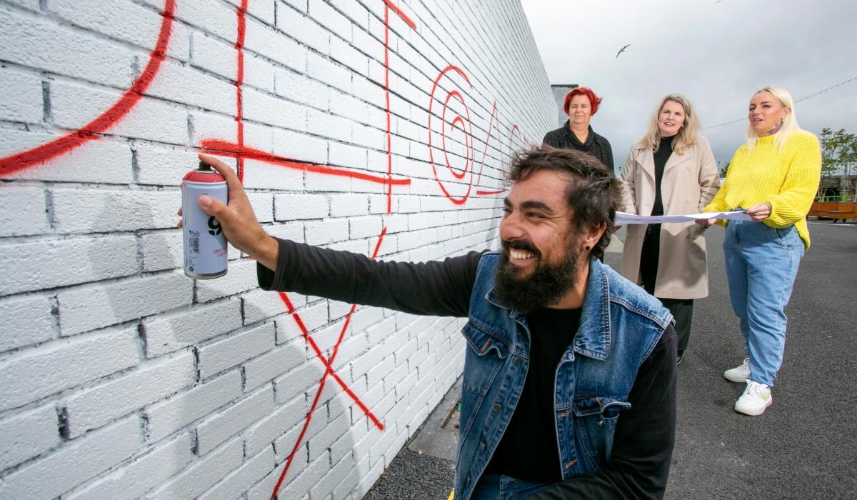 Work starts on 'landmark' mural at University of Limerick's city centre ...