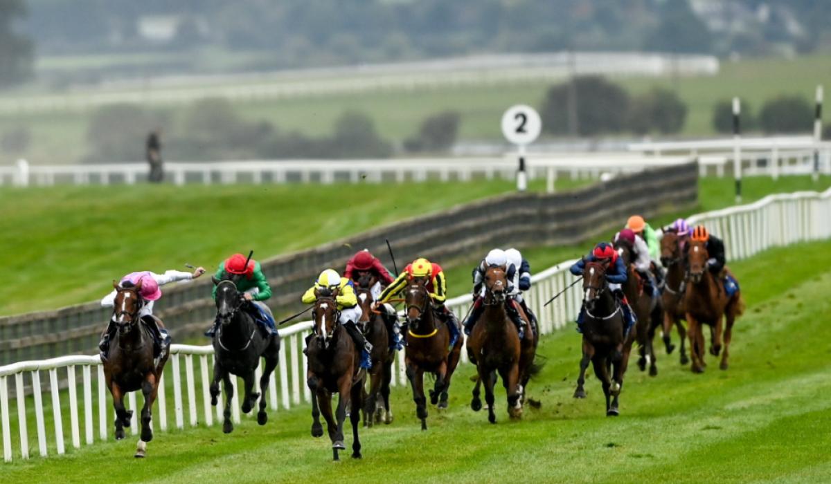 RACING: Dates for 2023 major festivals revealed - Limerick Live