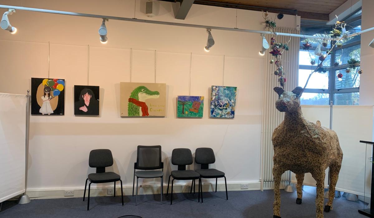 Art exhibition takes over Limerick library for Christmas - Limerick Live