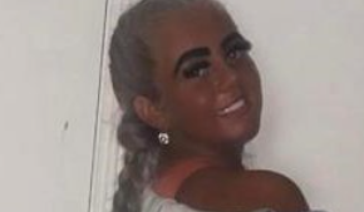 Gardaí concerned for welfare of teenage girl missing for over two weeks - Limerick Live