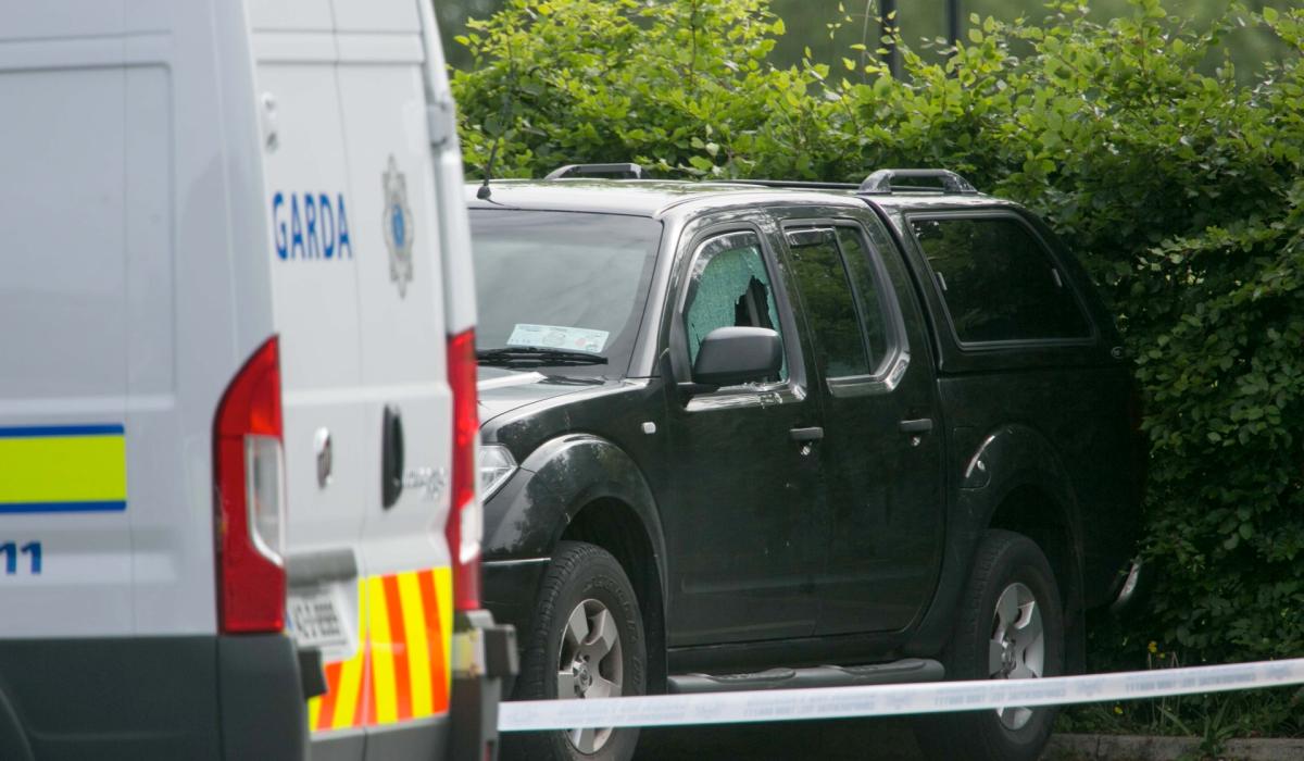 Man pleads guilty over shooting of Limerick gangland criminal Christy ...