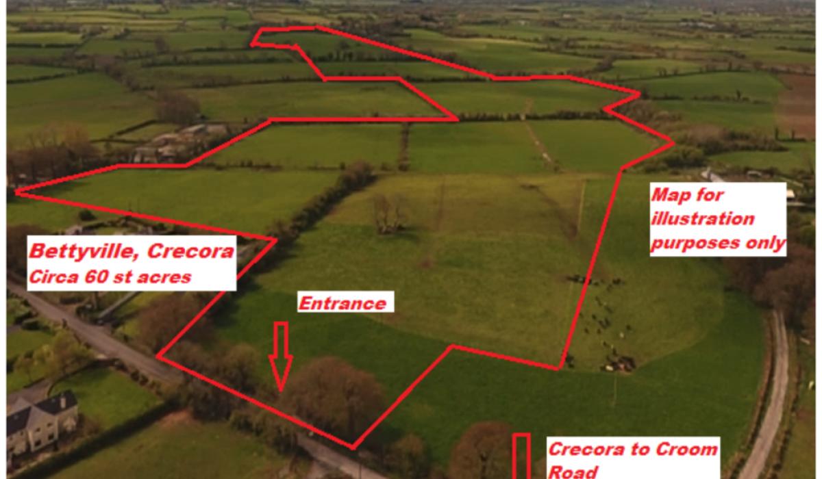 Sherry FitzGerald Stack: Excellent opportunity to acquire prime quality ...