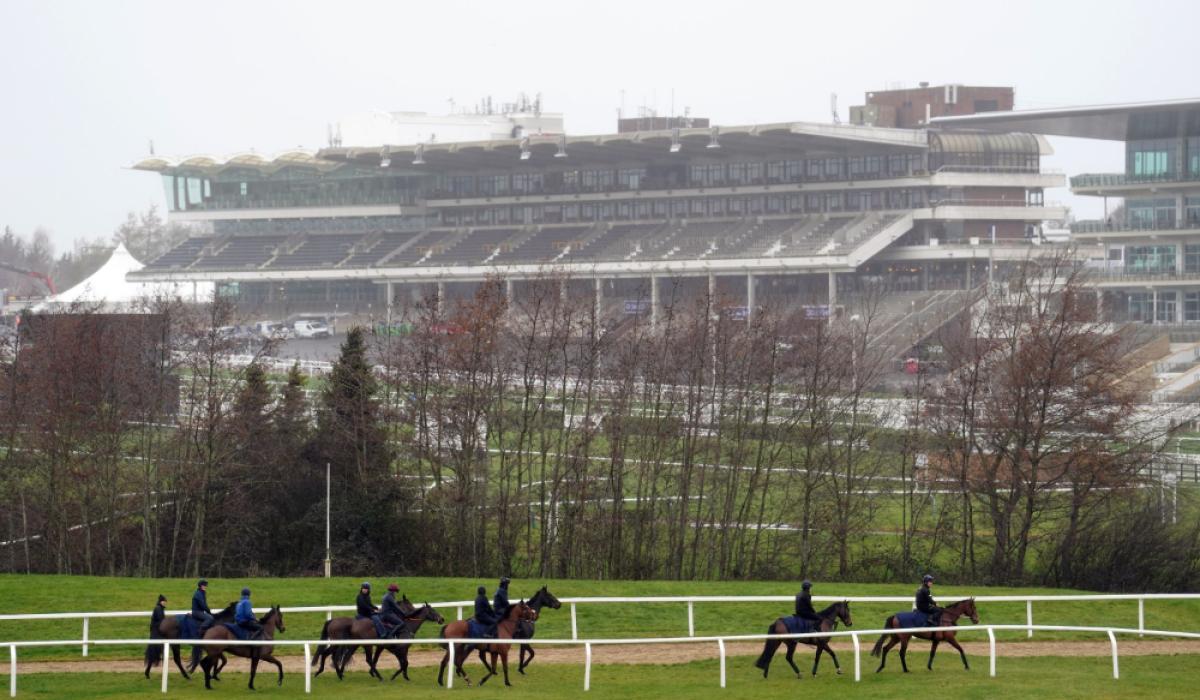 Cheltenham 2023 - where and when to watch in Ireland - Limerick Live