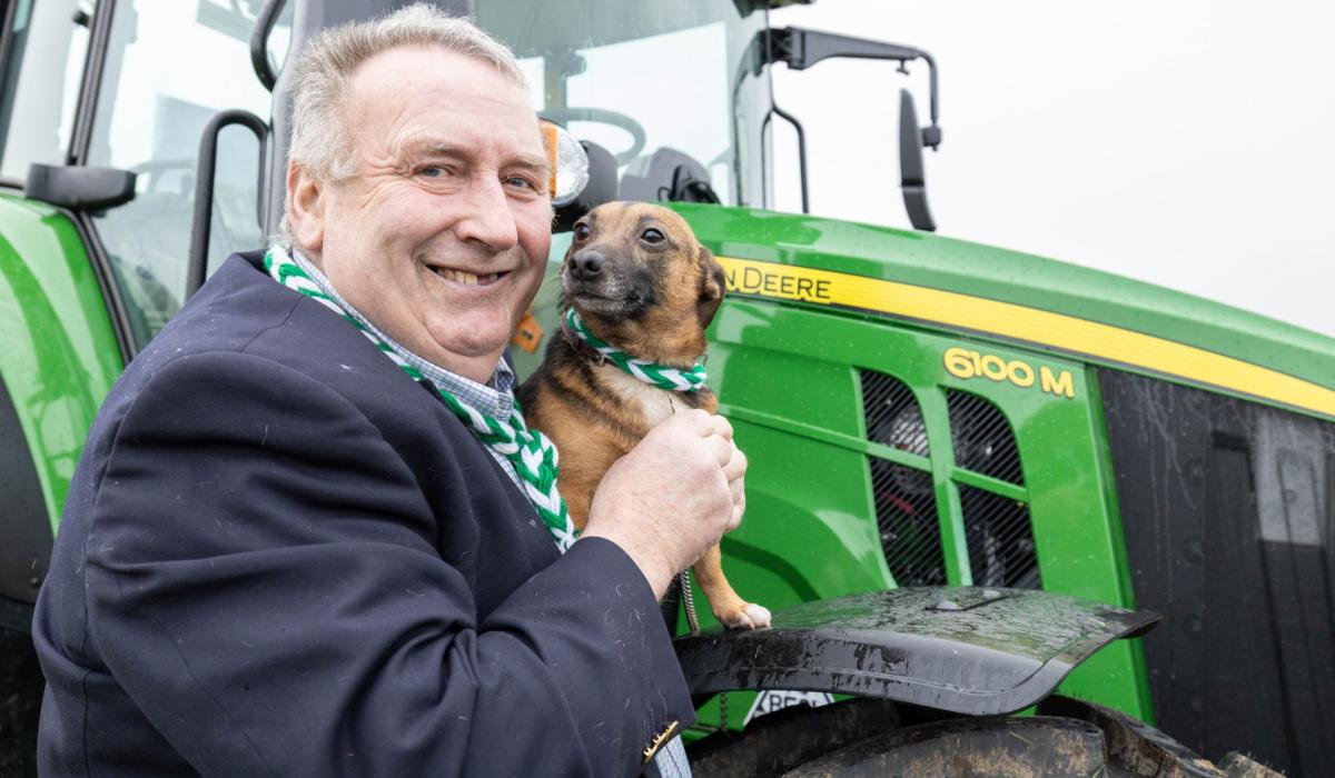 Limerick man’s pedigree chum Toby the Terrier wins him €100,000 ...