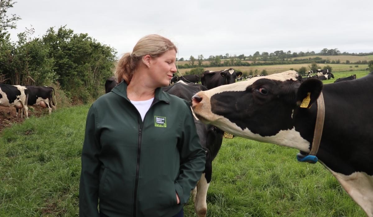 Irish dairy farming - An industry built on over 6,000 years of ...