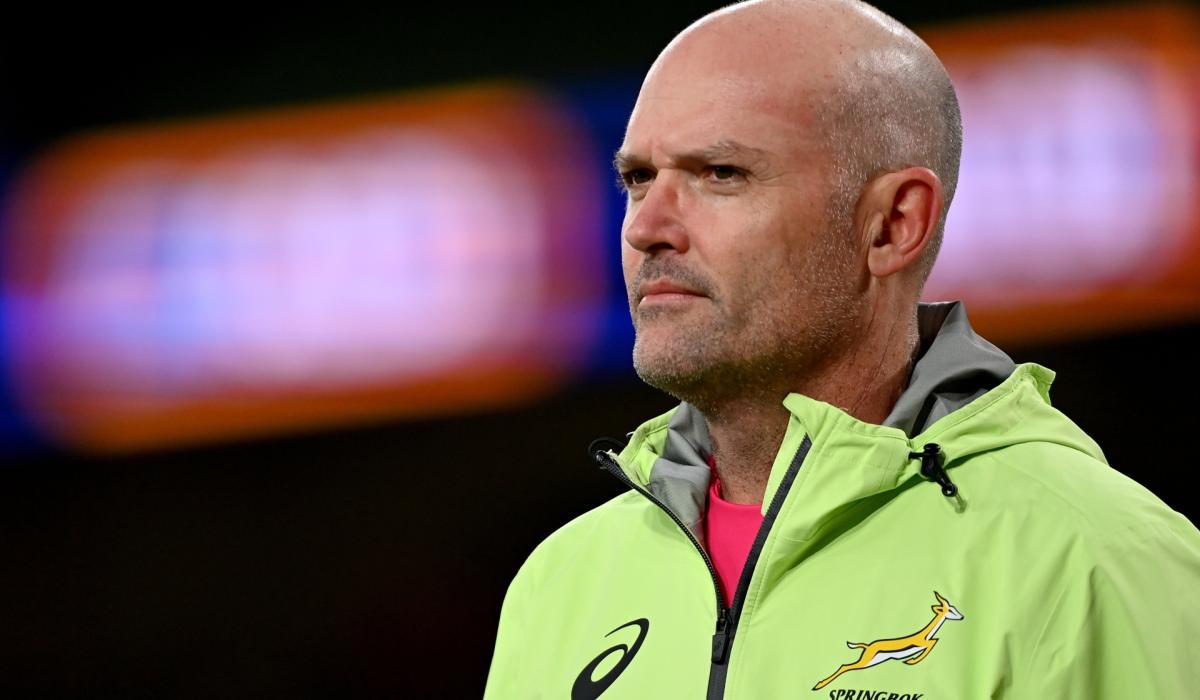 South Africa Head Coach to join Leinster after the Rugby World Cup ...