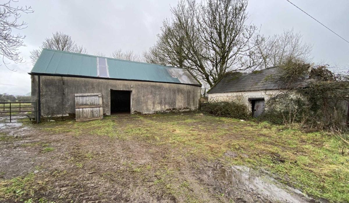 Forty seven-acre Limerick farm sells for €570k - Limerick Live
