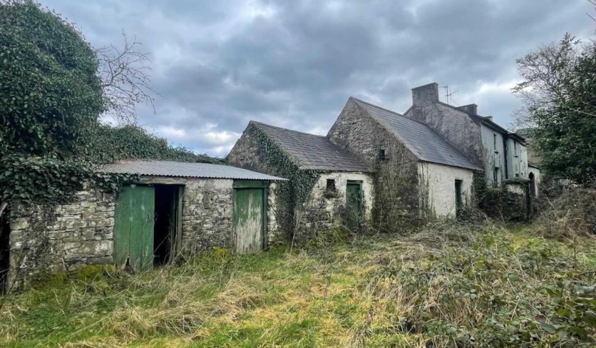 Clare farm sells for €210k over guide price at auction - Limerick Live