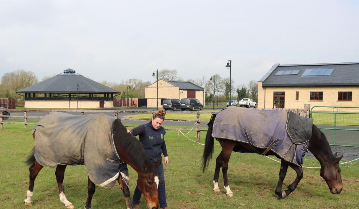Inside Martinstown Stud - home to some of the biggest names in horse ...