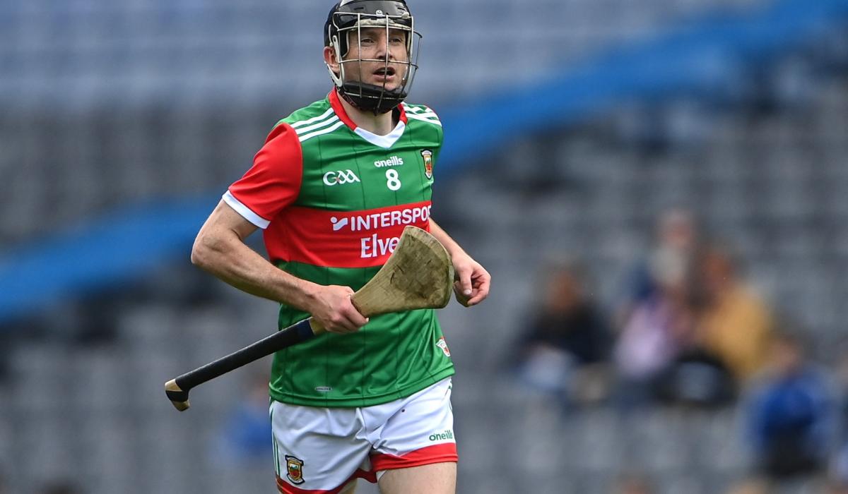 Higgins ‘taking a break’ from hurling - Limerick Live