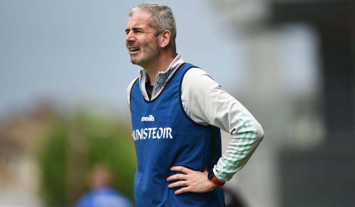 WATCH: Limerick manager Mark Fitzgerald reacts to Tailteann Cup quarter ...