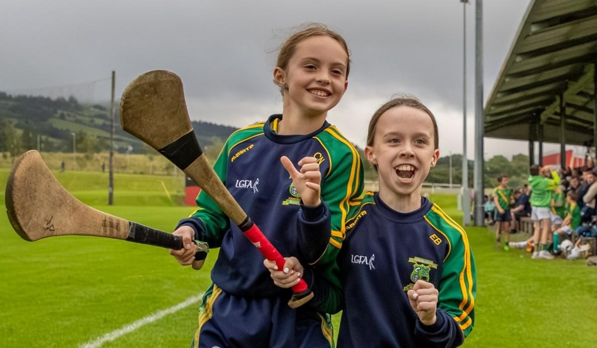 In Pictures: Hurling fans flock to meeting of Kilmallock and Ahane in ...