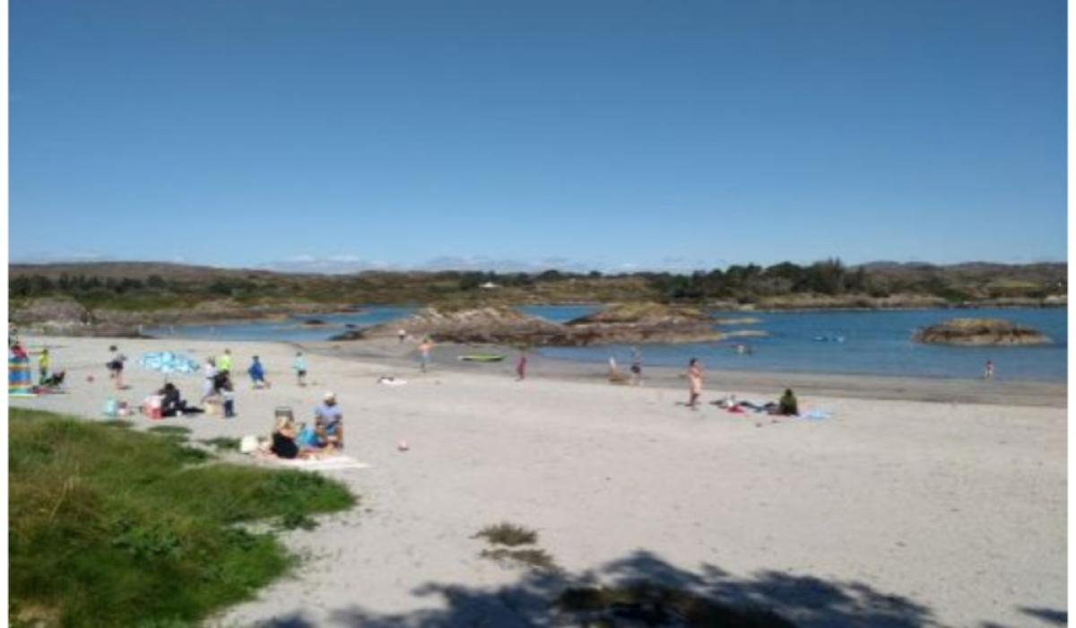Public warned to stay away from popular Cork beach due to rodent ...