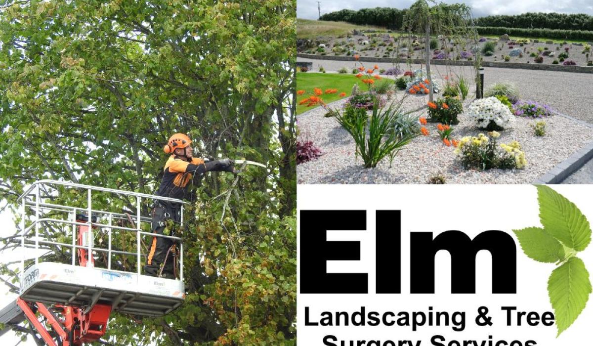 Elm Landscaping & Tree Surgery - Your Local Expect In Garden Design ...