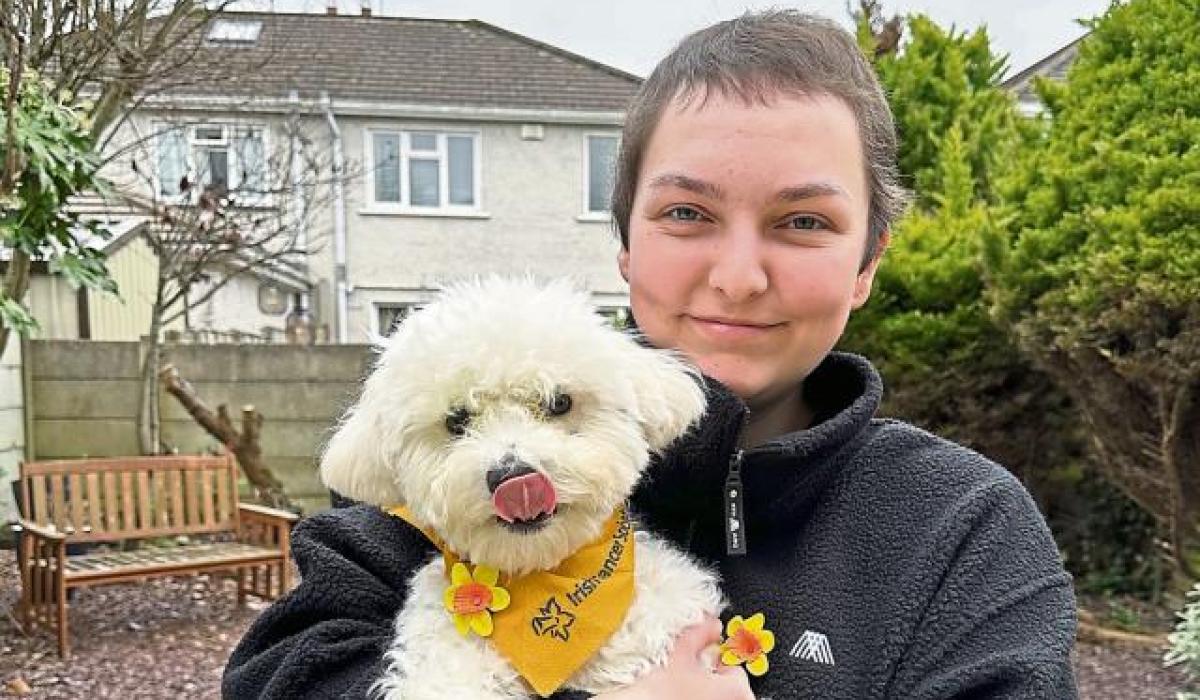 Limerick pup who helped owner through chemotherapy crowned Nose of ...