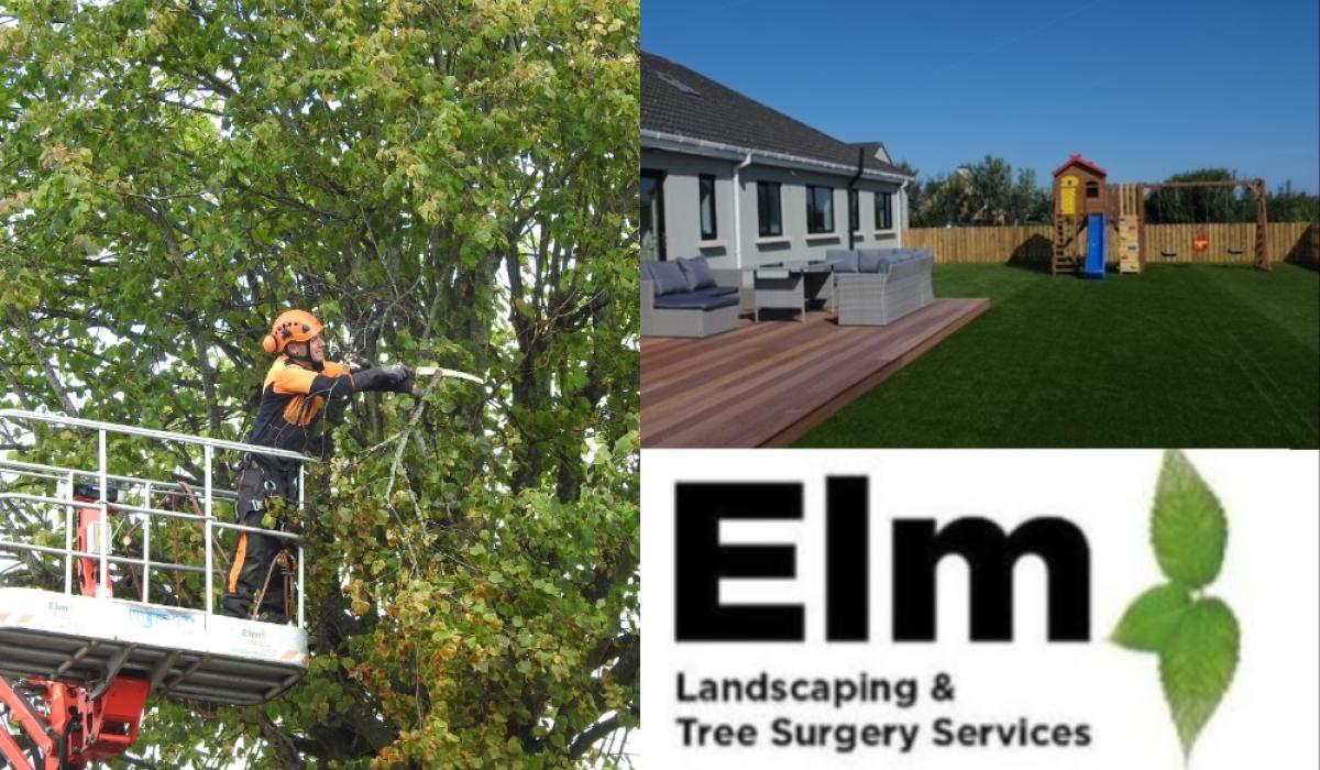 Garden maintenance and tree surgery services with Elm Landscaping ...
