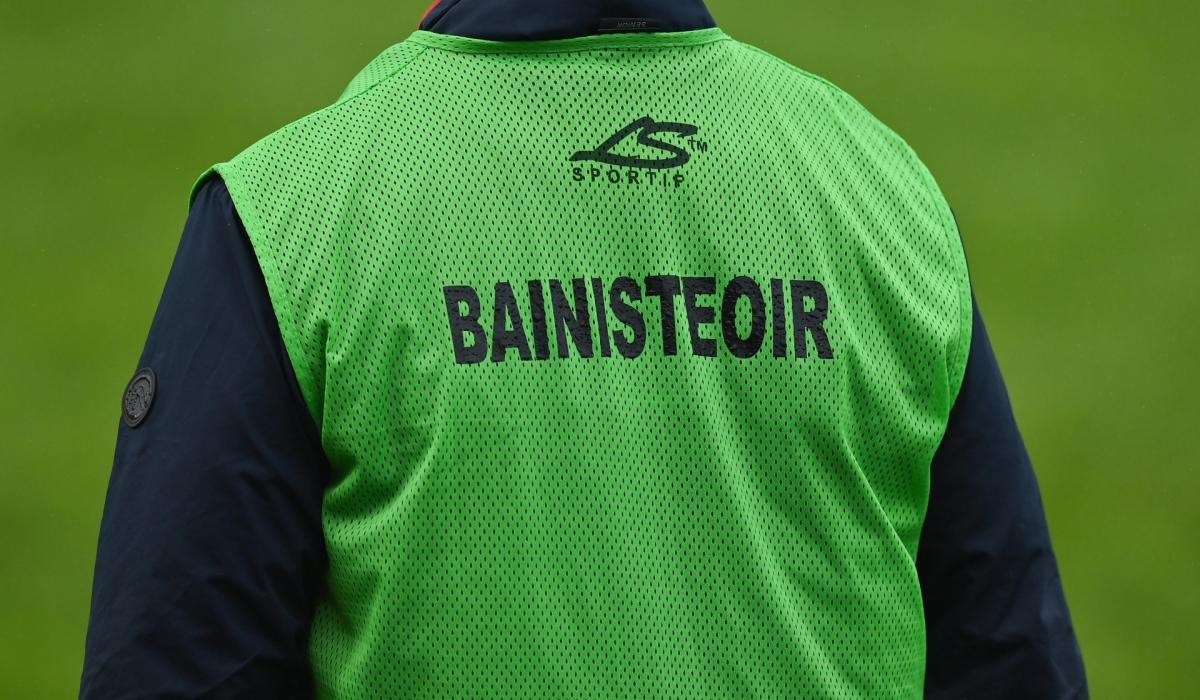 Gavin joins race for Mayo ladies job - Limerick Live