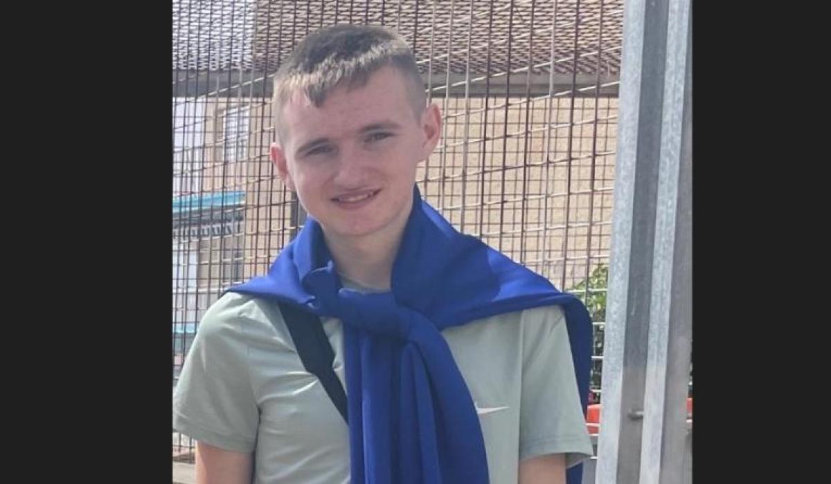 Missing teenager found safe and well after three-week search - Limerick Live