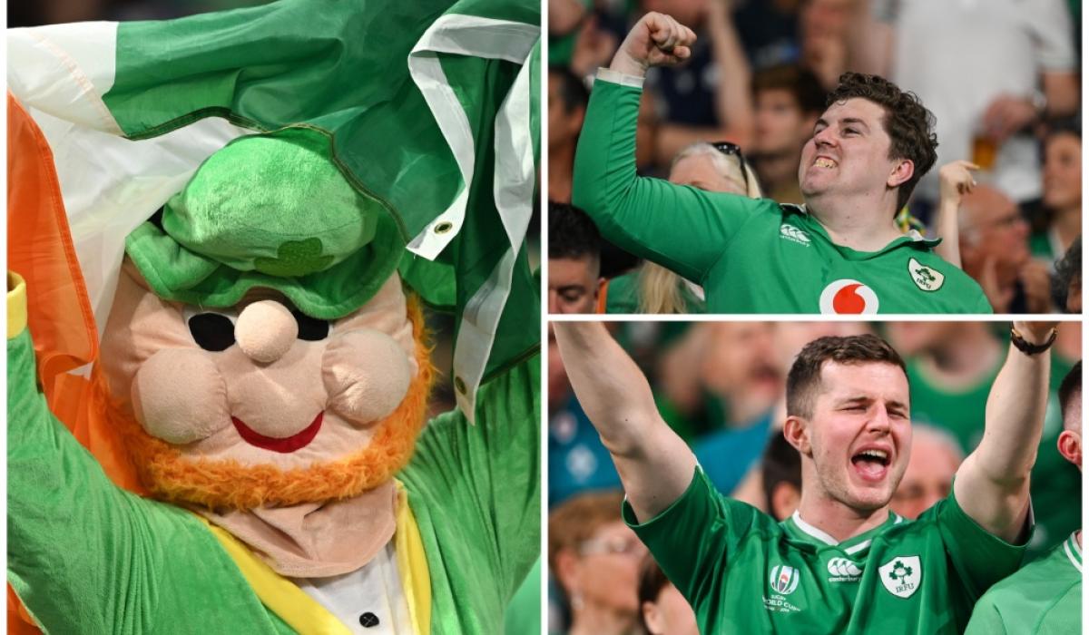 Rugby World Cup crowd pictures: Irish fans celebrate victory over ...