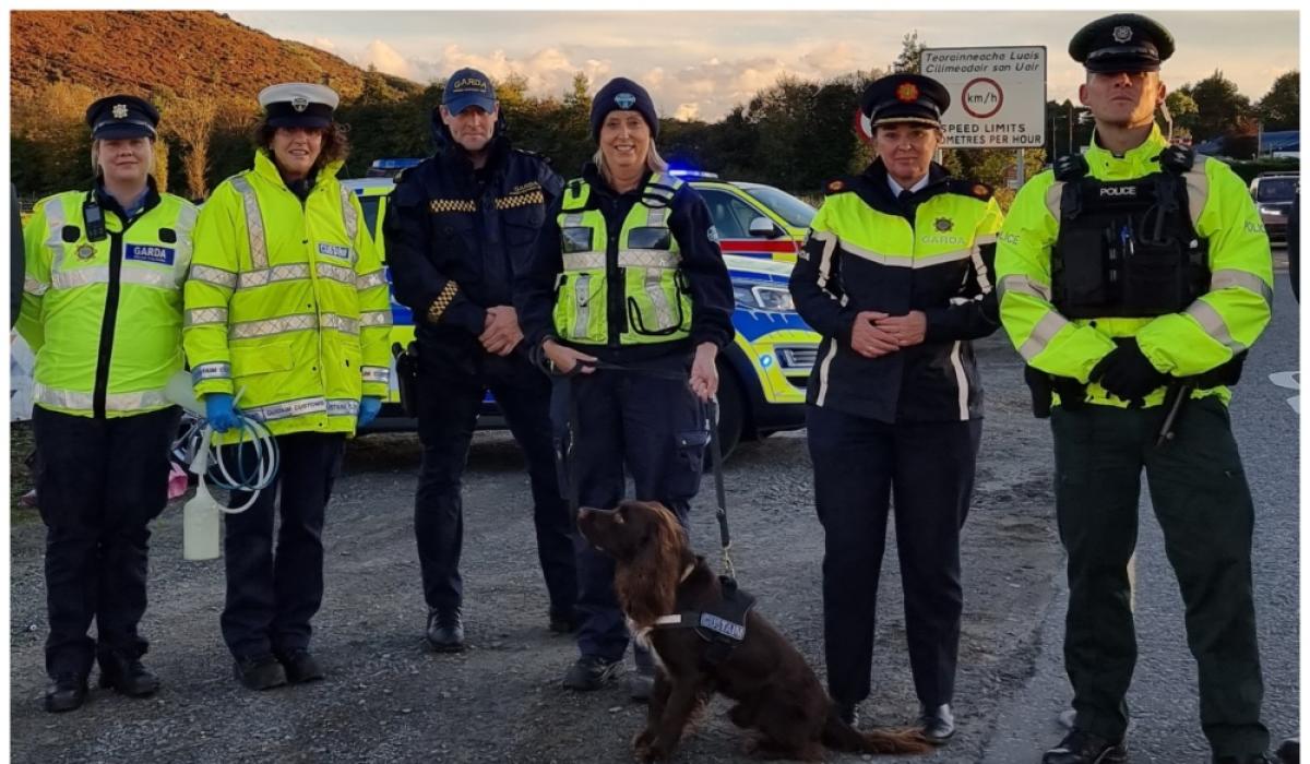 National: Assassination attempts to dutiful detection dogs - Garda ...